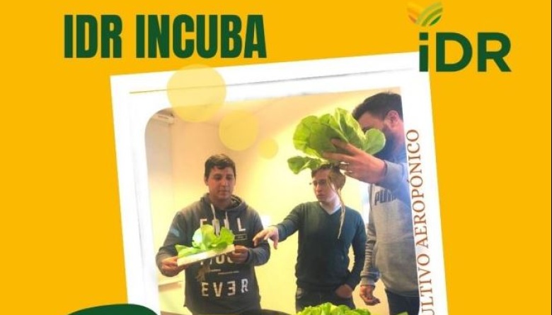 Convocan a emprendedores que quieran desarrollar agroempresas y Agtechs ...