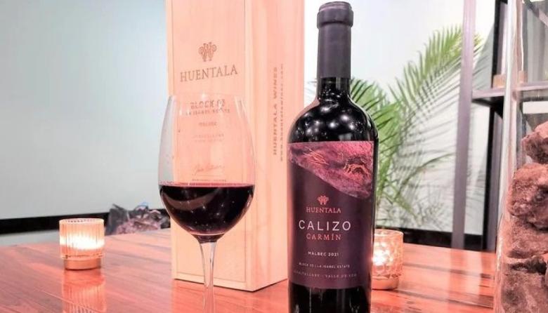 Cuál vino fue elegido el mejor Malbec y por qué es argentino - Ecocuyo