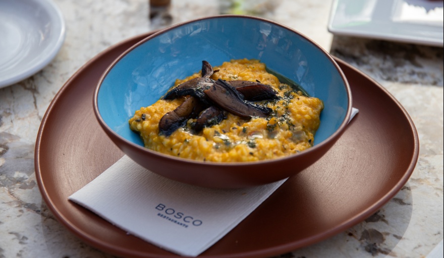 Un bodegón gourmet en pleno parque: Bosco Restaurant se renueva para ...