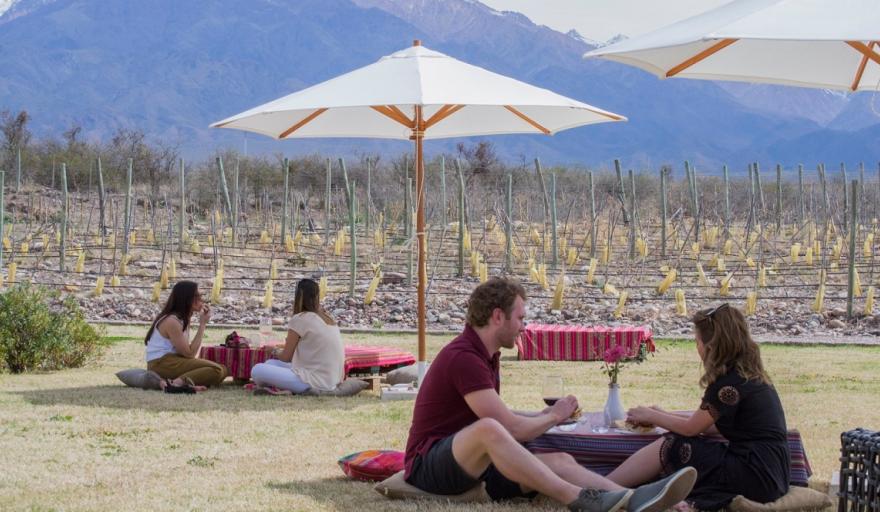 Vinos, música y arte en el Valle de Uco: vuelve Solo Contigo Wine Fest ...